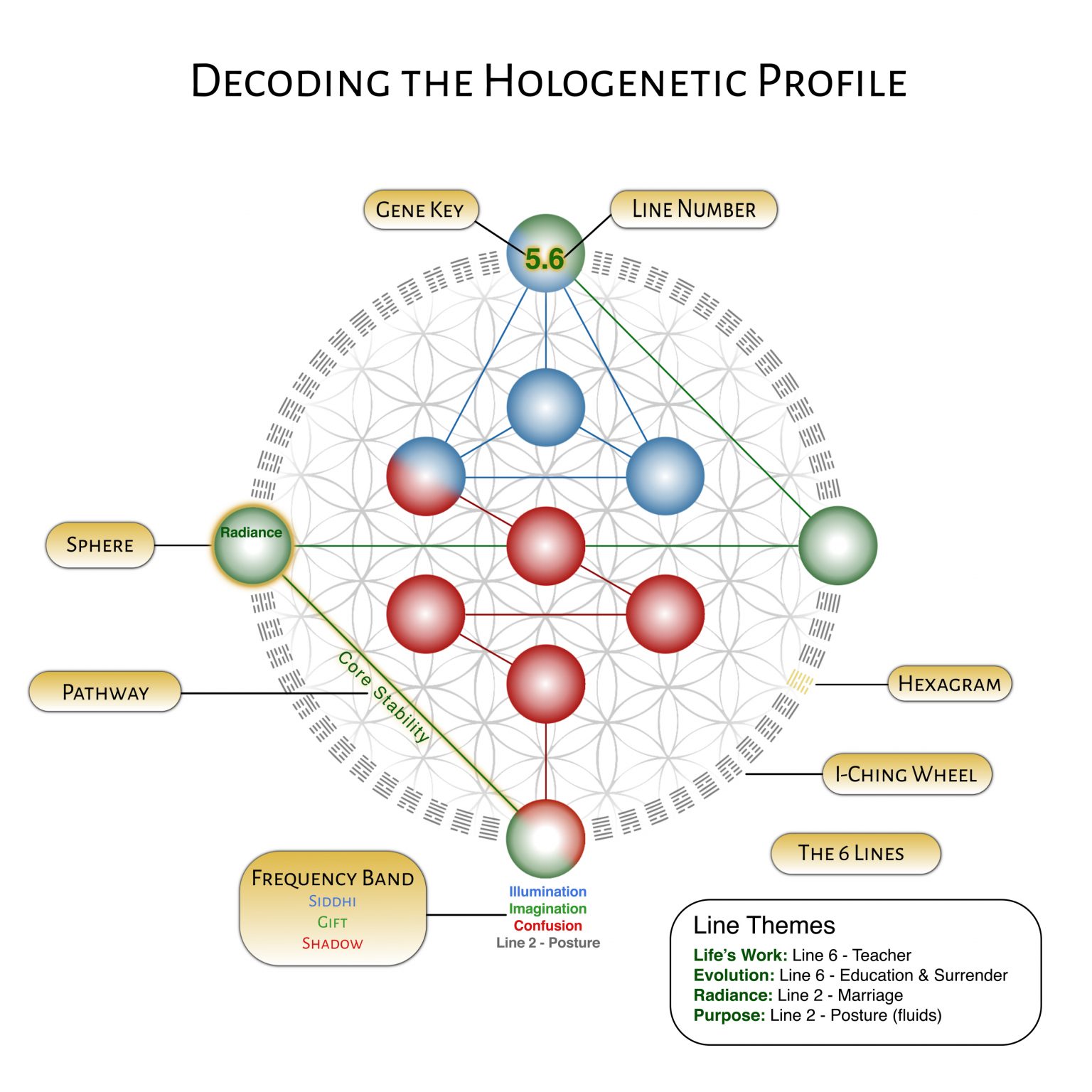 Let the Gene Keys open up a new world for you - Your Human Design