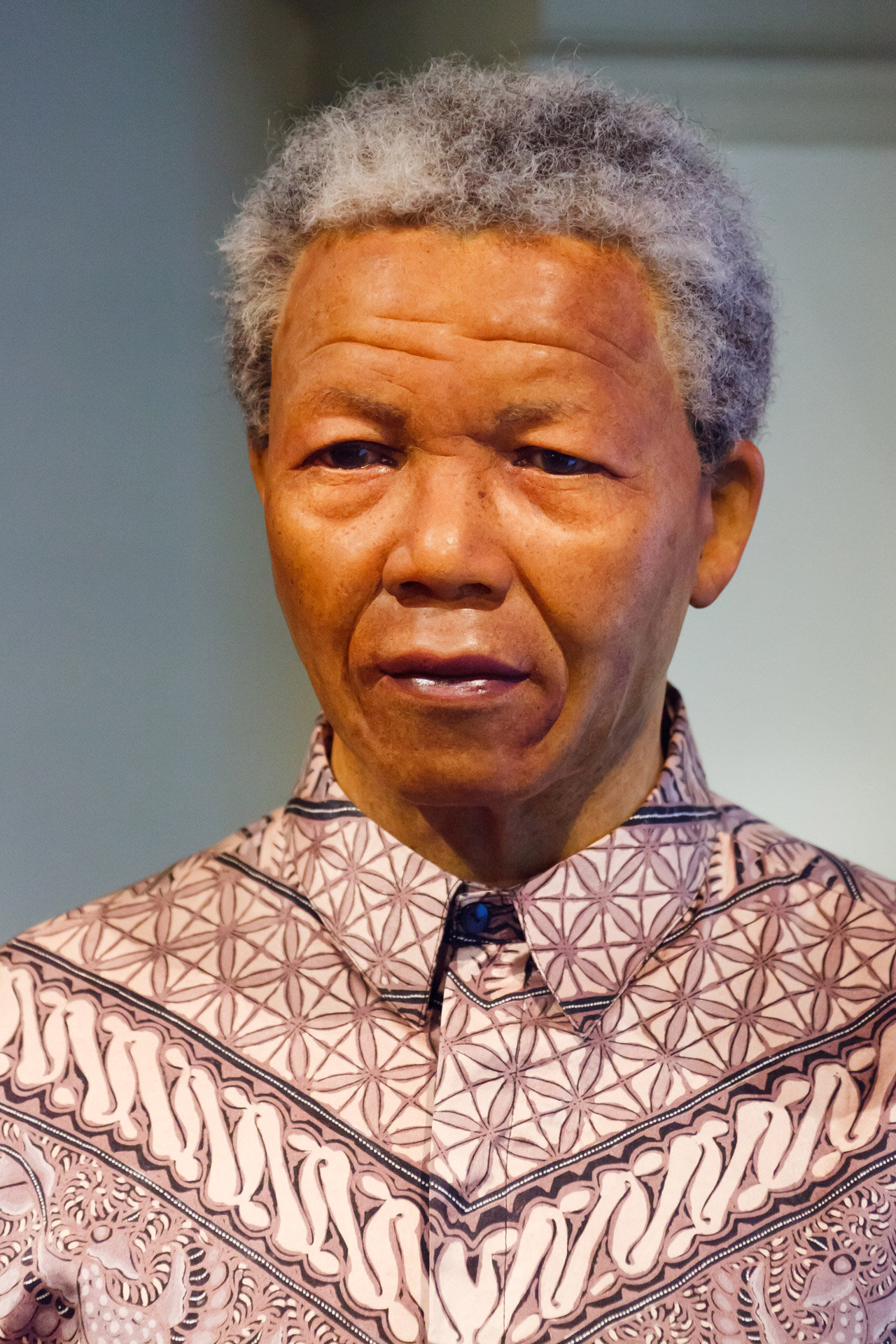 Nelson Mandela - Your Human Design